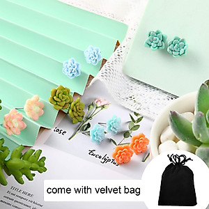 Hicarer 6 Pairs Succulent Earrings Plant Earrings Resin Handmade Stud Earrings Stainless Steel Studs Botanical Plant Earrings Flower Jewelry Accessories for Women