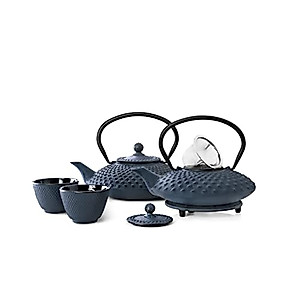 Bredemeijer Cast Iron Teacups Ceramic Lined Set of 2 Blue XILIN