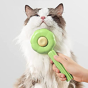 AESALUTOY Cat Brush for Shedding Indoor Cats - Cat Hair Brush for Deshedding Long Haired Cats, Self Cleaning Cat Grooming Brush, Slicker Brush for Cats, Kitten and Short Haired Dogs, Cat Fur Comb Brush with Two Cat Hair Combs(Green)