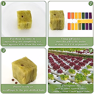 Halatool 1.2 inch Rockwool Cubes Garden Stonewool Grow Cubes Starter Plugs for Hydroponics Soilless Cultivation Seedlings Cuttings Clone Plants (4 Sheets, 144 Plugs in Total)