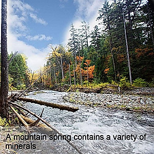 Wananfu - Schisandra Berry Dried 4oz - Schisandra Berry Tea/Schizandra Berries/Wuweizi (北五味子)