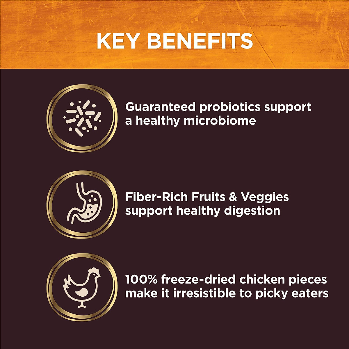 Wellness CORE Digestive Health Dry Dog Food with Wholesome Grains, Chicken & Brown Rice, 24 Pound Bag + CORE Bowl Boosters Digestive Health Dog Food Topper