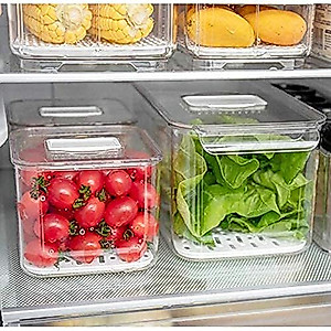 Large Food Storage Containers Fridge Produce Saver
