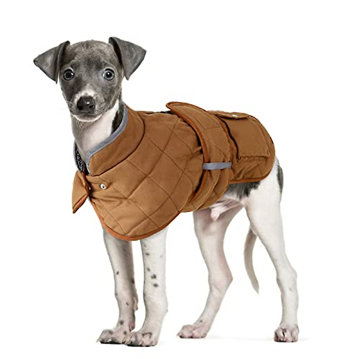 ASENKU Dog Coat for Winter Waterproof Dog Winter Coat Dog Jacket, Dog Hunting Vest for Small Medium and Large Dogs with Pocket & Zipper Leash Hook