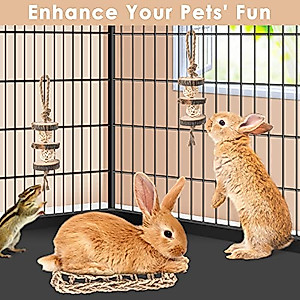 Bissap Seagrass Protector Mat with Treats, Rabbit Chews and Play for Bunny Chinchilla Guinea Pigs or Other Rodent Pets Hanging Chewing Toys