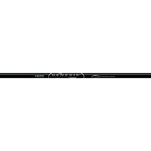 Easton Genesis V2 Arrows 1820 1 doz. Black