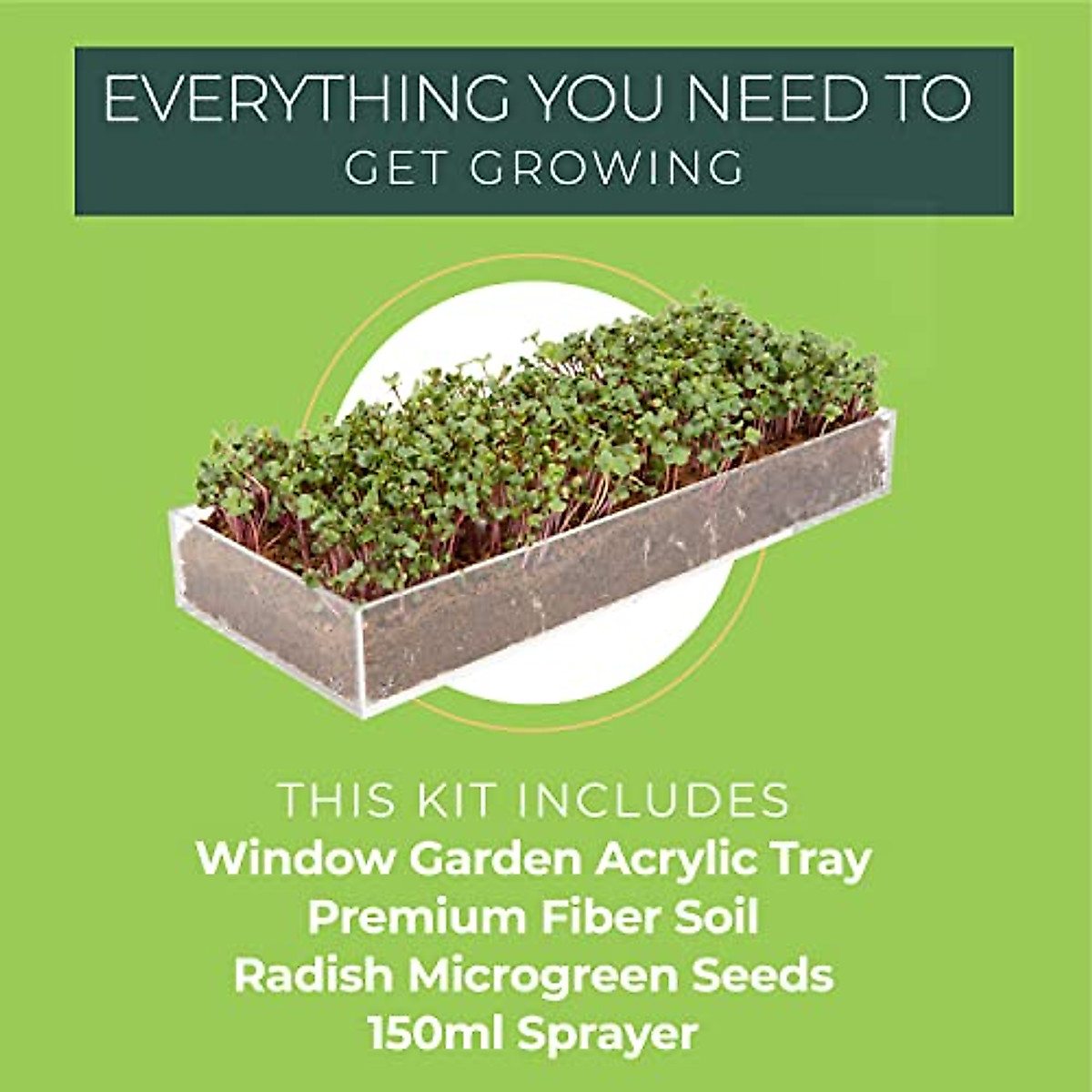 Window Garden Microgreens Grow Kit - Non GMO, Organic Microgreen Seeds, Fiber Soil, Acrylic Tray, Sprayer - Indoor & Outdoor Tools for Gardening, Seedling, Planting Superfood, Hydroponic Growing Kit