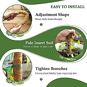 LMAIVE Moss Pole, Moss Pole for Plants Monstera, 2PCS 25'' Bendable Monstera Moss Pole, Moss Poles for Climbing Plants, Monstera Pole Plant Pole