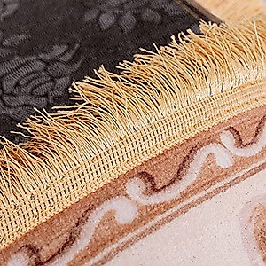 ANswet Area Rug Modern Flannel Non-Slip Floor Mat Living Room Bedroom Tassels Carpet Home Decor Rectangle 4 * 6 Feet Light Blue