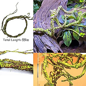 Hamiledyi Lizard Climbing Jungle Vines 9.8FT Flexible Reptile Leaves with Suction Cups Reptile Tank Habitat Decor for Gecko, Snakes,Chameleon,Bearded Dragon