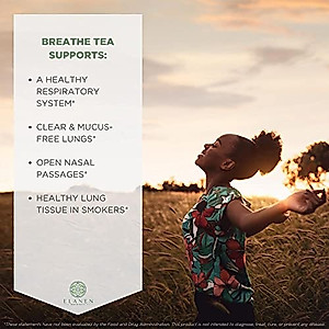 Organic Breathe Tea 4 oz. (113g), USDA Certified Organic Lung Tea, Bronchial Wellness Tea, Smokers Tea, Respiratory Tea, Gordo Lobo Herbs Tea, Mullein Detox Lungs Tea Organic