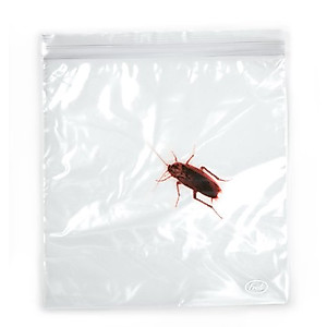 Fred & Friends LUNCH BUGS Zipper Sandwich Bags, 24 Count, Clear (LBUG)