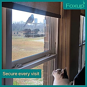 Window Bird Feeder with Removable Seed Tray and Super Strong Sticker Hooks, Large Bird Feeder for Wild Birds Outside, All-Weather Design, Never Fall Off