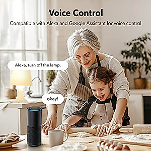BN-LINK Electrical Outlet in-Wall Smart Wi-Fi Outlet with High Speed 2.1A USB Port - Compatible with Amazon Alexa and Google Assistant - Wireless and Voice Control