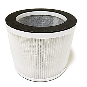 Nispira True HEPA Filter Replacement Compatible with Rigoglioso Air Purifier GL-2109 GL2109. 2 Packs