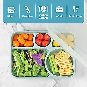 carrotez Portion Control Plate, Microwave Food Storage Tray, 5 Compartment Divided Plate with Lid, Top Rack Dishwasher Safe, BPA Free