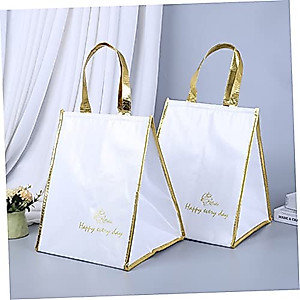 BESTonZON Packing Cold Insulation Portable Plastic Food Pizza Warmer Bags Insulated Plastic Grocery Bags Delivery Warmer Bags Thermal Lunch Bag Insulated Grocery Bags Convenient Cake Bag