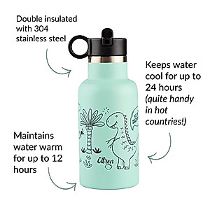 Citron - Stainless Steel Water Bottles, Insulated Metal Water Bottle- 12oz Thermal Water Bottle (Dino)