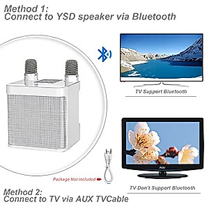 Karaoke Machine for Adults and Kids, Portable Bluetooth Karaoke Speaker for TV, with 2 Wireless Microphones PA Speaker System for Indoor Outdoor Party, Family Party Singing