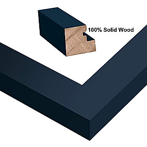 RPJC 16x20 Inch Solid Wood Poster Frame for Wall Mounting Hanging Picture Frames Jazz Blue