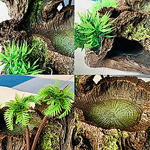 PINVNBY Resin Reptile Platform Artificial Tree Trunk Reptile Tank Decor Food Water Dish Bowl for Bearded Dragon,Lizard, Gecko, Water Frog,Snake