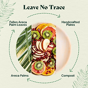 Chic Leaf Compostable & Biodegradable Palm Leaf Disposable Bamboo Plates - Disposable Party Plates for Appetizers (1, 7'' (Pack of 50))