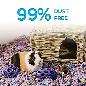 Carefresh 99% Dust-Free Confetti Natural Paper Small Pet Bedding with Odor Control, 10 L