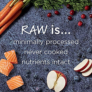 Instinct Raw Boost Grain Free Recipe with Real Salmon Natural Dry Dog Food by Nature's Variety, 4 lb. Bag