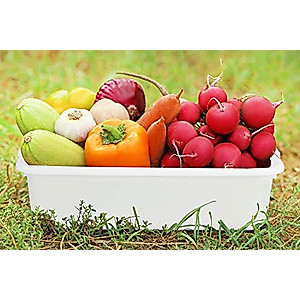 4-Pack Commercial Bus Tubs 8L, White Plastic Bus Box/Tote, Bus Wash Dish Basin Pans