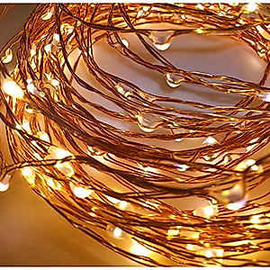 Ashland Michaels 40ct. Warm White Copper Wire LED String Lights