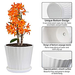 sietpoek Plant Pots - 6.7 Inch Cylinder Ceramic Planters with Connected Saucer, Pots for Succuelnt and Little Snake Plants, Set of 2, White