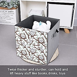 Funny Cartoon Koalas Large Cubes Storage Bins Collapsible Canvas Storage Box Closet Organizers for Shelves