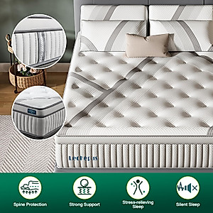Lechepus Twin Mattress,14Inch Memory Foam Hybrid Mattress with 7-Zone Pocket Spring,Twin Size Mattress in Box, Medium Plush Mattress for Back Pain Relief,Motion Isolation,CertiPUR-US
