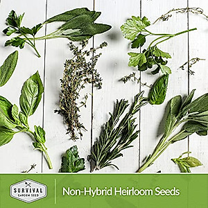 18 Medicinal Herb Seed Packets to Plant & Grow - Assortment of Beneficial Plant for Herbal Teas & Medicinal Uses - Non-GMO Heirloom Varieties - Survival Garden Seeds