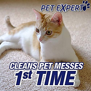 Resolve Ultra Pet Odor and Stain Remover Spray, Carpet Cleaner, 32oz (Pack of 1)