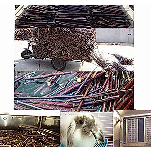 Hypeety Pet Snacks Apple Wood Sticks Chew Toy for Squirrel Rabbits Bunny Guinea Pigs Chinchilla Hamster 100g (3.5oz)