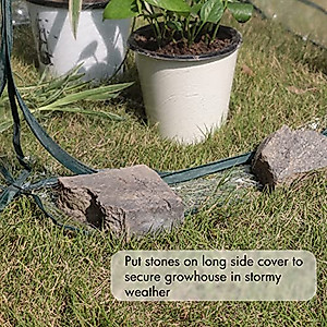 Gardzen 27"x27"x31" Pop up Grow Greenhouse Small Greenhouse, Portable Plant Flowers Mini Green House Cover for Outdoor & Indoor Use