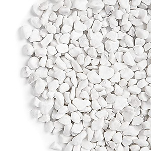 GASPRO 5lbs Gravel, 1/5 Inch White Rocks for Plants, Vases, Natural Decorative Pebbles for Succulents, Terrarium, Cactus, Matte Texture