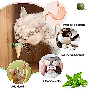 HYH Catnip Balls for Cats Wall, Self-Adhesive Magic Catnip Rollerball Wall Mounted Catnip Balls, Healthy Edible Cat Mint Chew Toy for Cleaning Teeth/Playing/Relieve Anxiety/Removal Hairball
