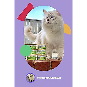 "I and love and you" Naked Essentials Canned Wet Cat Food - Grain Free, Rabbit Recipe, 3-Ounce, Pack of 24 Cans