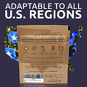 Morning Glory Seeds Heavenly Blue - Large 1 Ounce Packet - Over 1,000 Flower Seeds