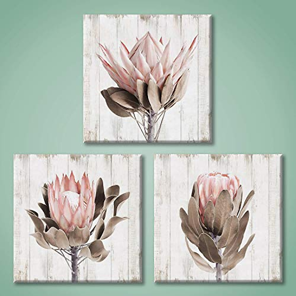 UTOP-art Pink Floral Picture Wall Art: Protea Flowers Artwork Print on Wooden Textured Canvas Art for Bathroom (12'' x 12'' x 3 Panels)