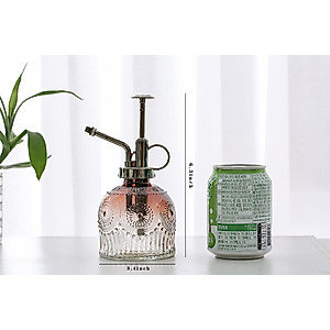 Glass Plant Mister Spray Bottle, 6.3inch Tall Vintage Plant Spritzer Watering Can, Succulent Watering Bottle with Top Pump, Plant Mister Glass Watering Garden Tool (Brown Clear Gradient)