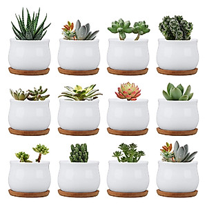 Succluent Pots ，Small Flower Pots Planter Pots with Drinage,Ceramic Flowers Pots with Bamboo Tray for Cactus(12 Pack