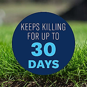 BioAdvanced Lawn Weed and Insect, Concentrate, 32 FOZ