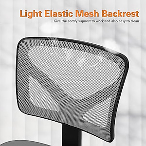 NEWBULIG Ergonomic Armless Home Office Desk Chair with Lumbar Support for Space Swivel 360° Wheels Adjustable Lever Rolling for Tiny Apartment,Conference Room, Grey