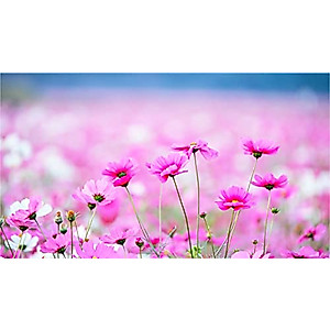 Created By Nature Tennessee Wildflower Seed Mix, Covers 325 Sq Ft, 18 Flower Varieties, Over 35,000 Seeds