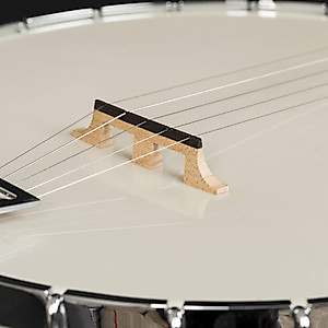 Martin Strings,Vega Banjo 700,5 Str,Light