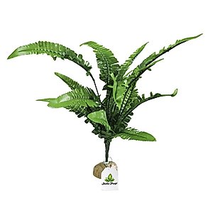 Josh's Frogs Tropical Artificial Reptile and Amphibian Plants (Fern)