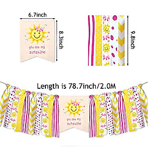 Sunshine Baby Shower Decorations Handmade You are My Sunshine Banner, Sunshine ONE Fabric Ribbon High Chair Banner- 1st Birthday Girls First Birthday Supplies (Sunshine Baby One Set)